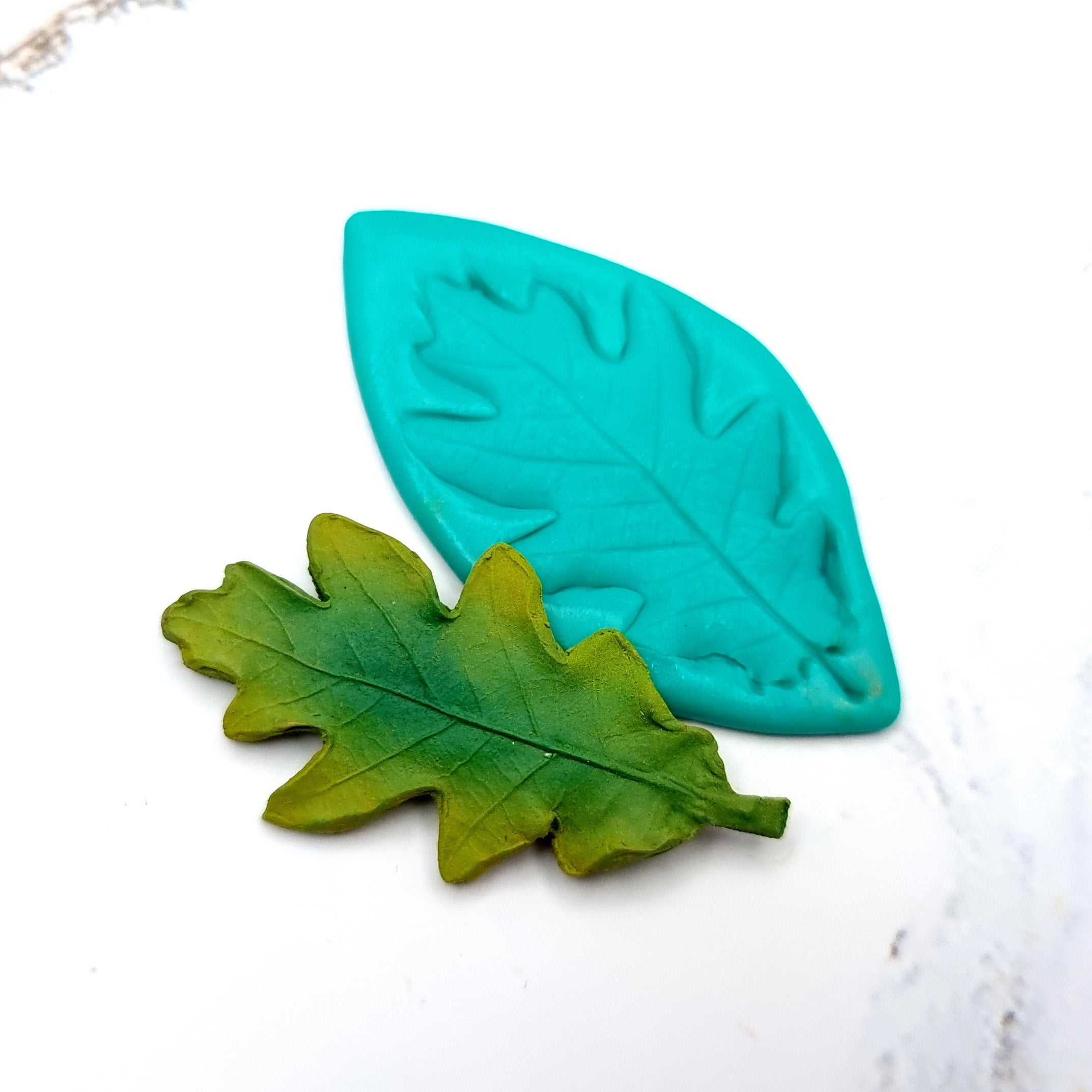 Natural Real Oak Leaf #6, 4cm – SweetyBijou